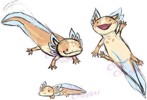 Axolotl Sketch By Minishflea On Deviantart