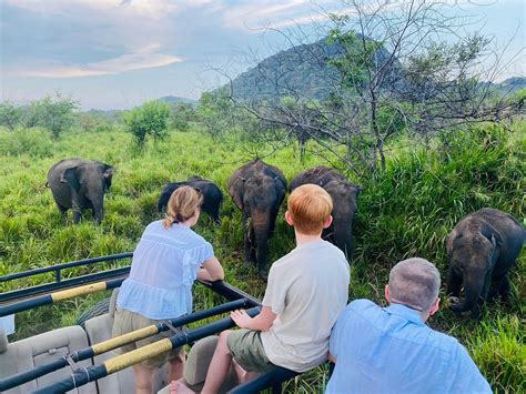 Buddika 2025 All You Need To Know Before You Go With Reviews