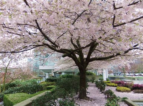 Yokai World On Tumblr