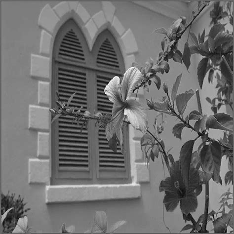 Richard Geldreich S Blog Basis Universal GPU Texture Format Examples