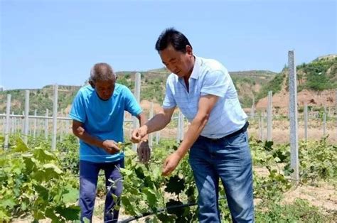 土地成了「活資產」 「沉睡資源」被喚起——宜川縣試水農村土地承包經營權抵押貸款紀實 每日頭條