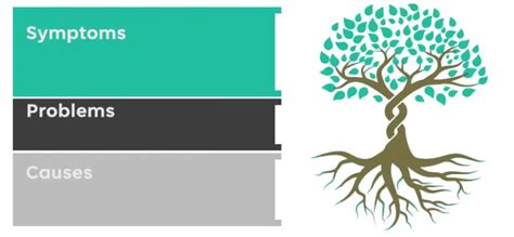 The Importance Of Root Cause Corrective Action RCCA Learn Lean Sigma