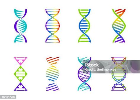 Dna 分子符號集 遺傳元素和圖示收集鏈向量顏色梯度例證向量圖形及更多人圖片 人 健保和醫療 健康的生活方式 Istock