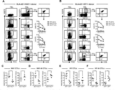 Il 7 Receptor Expression Identiﬁes Suicide Gene Modiﬁed Allospeciﬁc Cd8 Cid 1 T Cells Capable