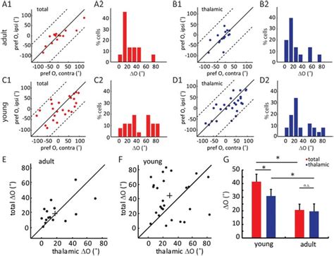 Binocular Matching Of Thalamocortical And Intracortical Circuits In The Mouse Visual Cortex Elife