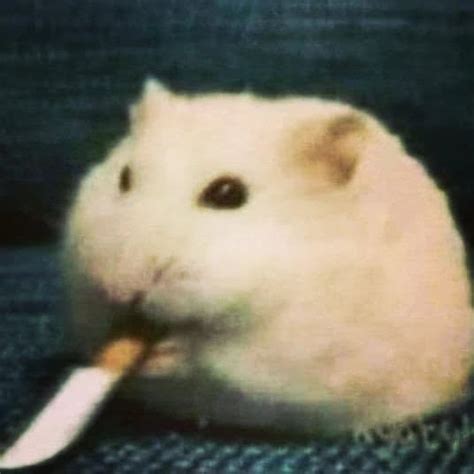 이보현 Bohyeon1231 • Threads Say More