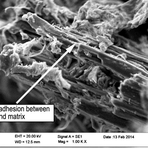 TGA Analysis Of Hybrid Sisal Jute Fiber Reinforced Polymer Composites