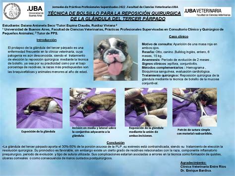 Facultad De Ciencias Veterinarias