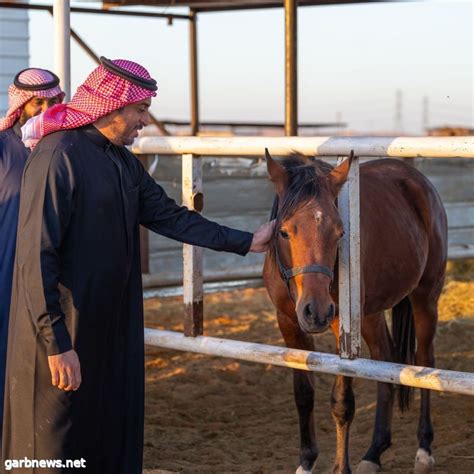 مدير عام فرع وزارة البيئة والمياه بالحدود الشمالية يزور مربي الخيل