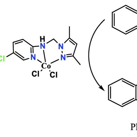Scheme 2 Catalyzed Catecholase And Phenoxazinone Processes Download