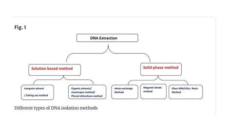 Different Techniques And Methods Of Dna And Rna Isolationpdf