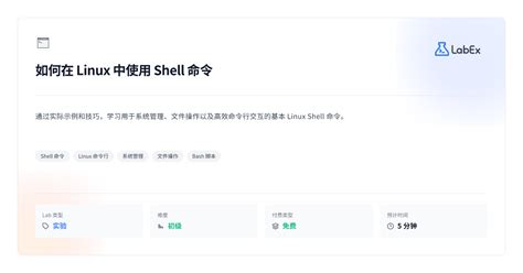 如何在 Linux 中使用 Shell 命令 Labex