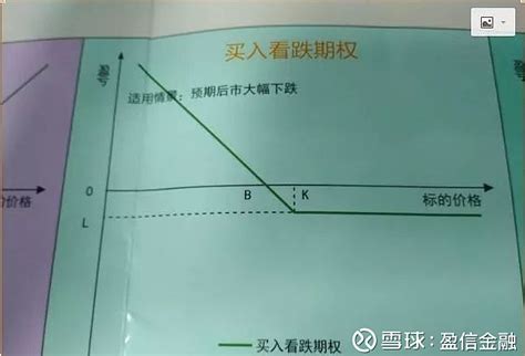 期权交易策略全解 期权基本策略一方向性策略A看涨策略1买入看涨期权2卖出看跌期权3牛市看涨价差4牛市看跌价差B看跌策略5买 雪球