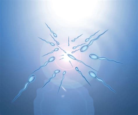 Fertility Reflexology Blissfully Calm