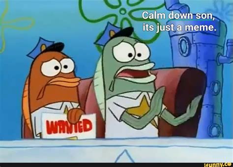 Calm Down Son Its Just Ameme Ifunny