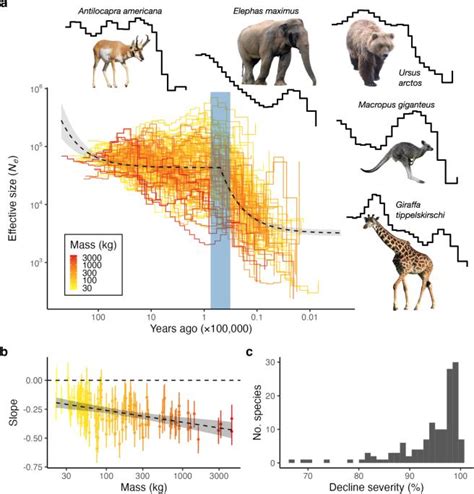 Worldwide Late Pleistocene And Early Holocene Population Declines In