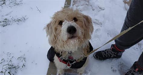 Meet Ares Album On Imgur