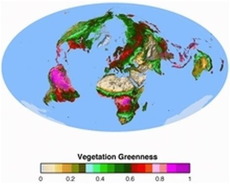 Questions With Answers In Vegetation Analysis Science Topic