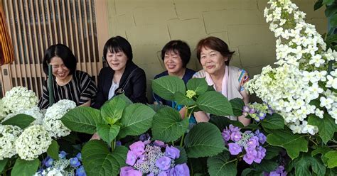 尼子の里のフォト俳句塾 紫陽花やキャリコンメンバー勢揃い 塾長