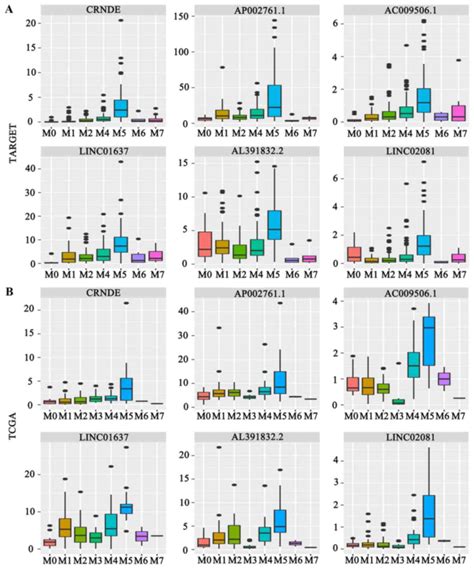 A ThreelncRNA Signature For Prognosis Prediction Of Acute Myeloid