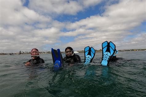 Marine Bio 101 Snorkel In San Diegos Mission Bay
