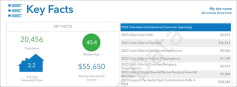 Modify An Existing Infographic Template In Arcgis Business Analyst Web