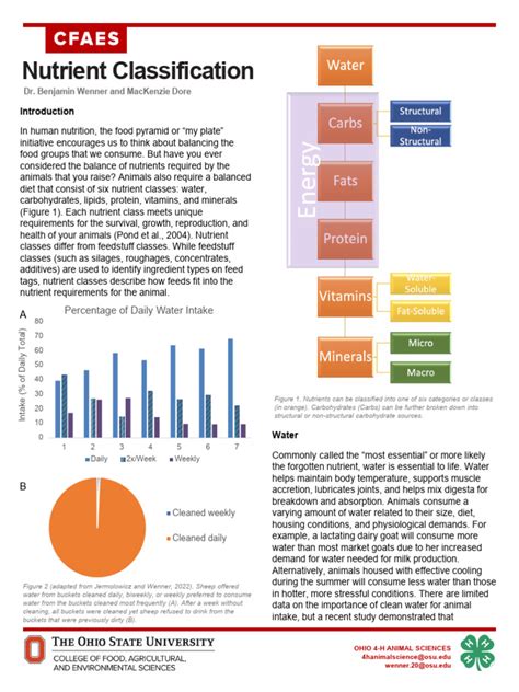Nutrient Classification Factsheet Pdf Nutrients Ruminant