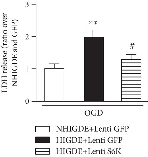 Mirna 199a 3p In Higde Aggravated Neuronal Injury By Suppressing The
