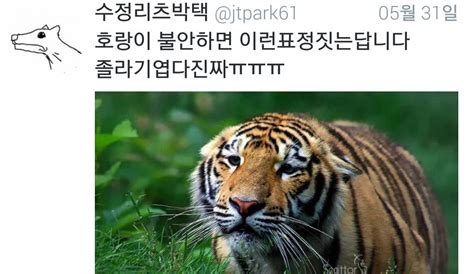 웃긴 트위터 아무말대잔치 모음  인스티즈 Instiz 이슈 카테고리