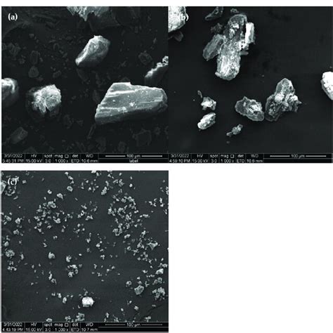 The Sem Images A β Cd B Pm C β−cdeo Ic 222 Ft Ir Analysis