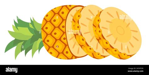 Horizontal Sliced Fruit Pineapple Stock Vector Image Art Alamy
