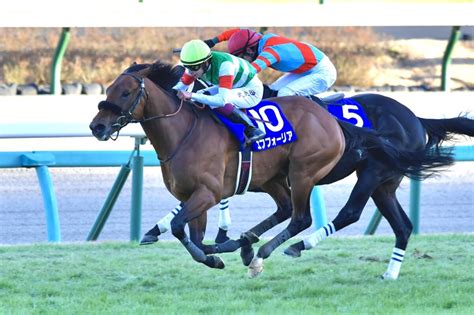 今日、有馬記念前王者エフフォーリアは復活ドラマを演出できるのか5頭が前日オッズ10倍を切る“戦国レース” ページ 3 本格スポーツ