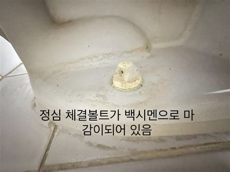 부산 사상구 화장실 변기 흔들림 변기 하단 깨짐 고정하기 변기 백시멘트 고정 부산광역시 북구 화명동 비즈프로필