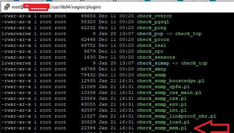 strange behaviour service monitoring icinga community