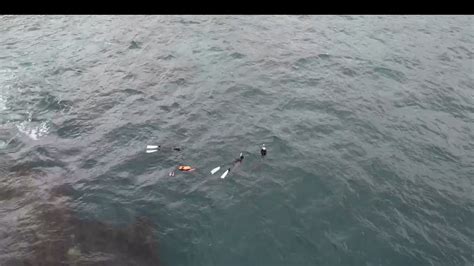 Drowning Detection Object Detection Dataset By Rmit University