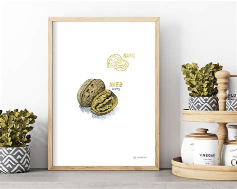 Nuez Print Botánica Dibujo En Acuarela Lámina Ilustración Botánica