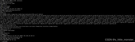 【linux】环境变量 Csdn博客