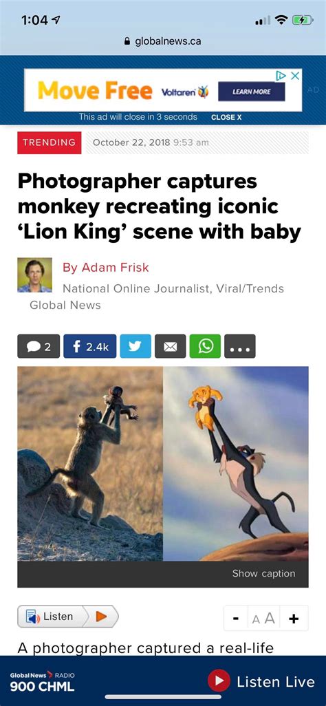 Lion King Recreated I Saw This On My News Feed And Thought It Was
