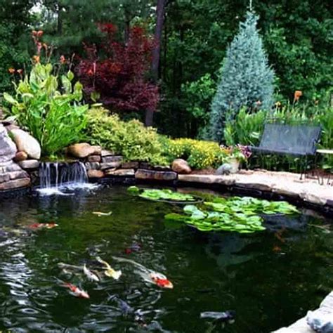 Medium Pond Kit Complete For 21 X 26 Pond By Easypro Kinetic