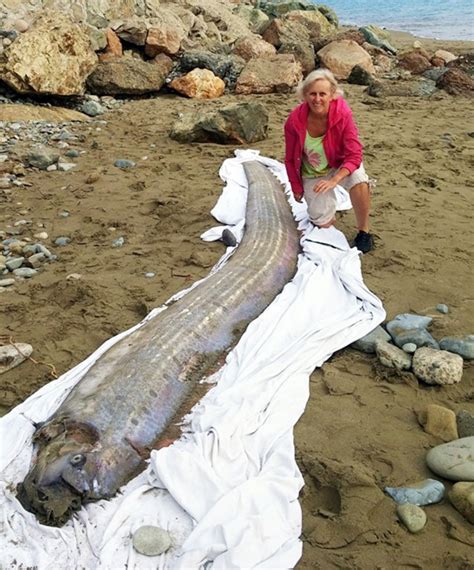 What Is The Doomsday Fish