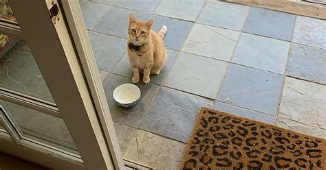 There Is A Veritable Cornucopia Of Food Inside But Nooooooo Album On Imgur