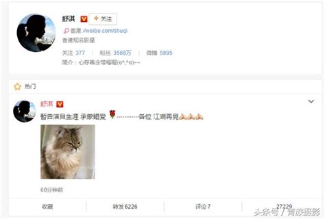 舒淇宣佈暫推演藝圈所為何事新電影還未殺青懷孕工作原因 每日頭條