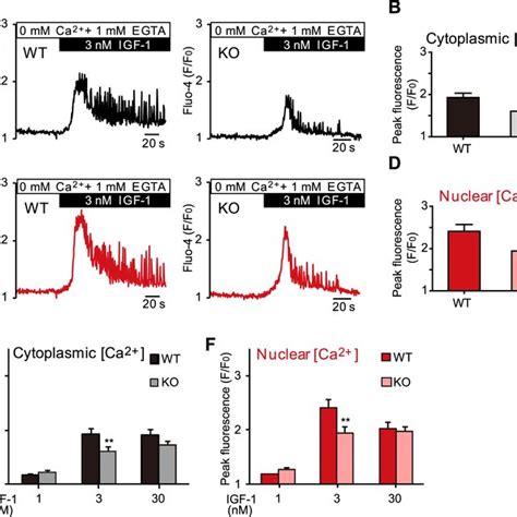 Involvement Of Neuronal Calcium Sensor 1 In Ip3r Dependent Ca2 Release Download Scientific