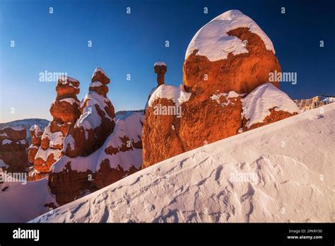 Winter Sunrise Light Over Bryce Canyon National Park In Utah From