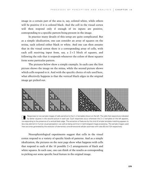 Visual Perception A New Kind Of Science Online By Stephen Wolfram Page 579