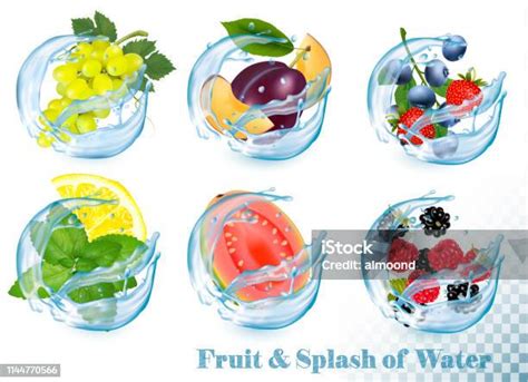 물 스플래시 아이콘 과일의 큰 컬렉션입니다 포도 구아바 유자 민트 딸기 매 화 블루베리 블랙베리 라즈베리 벡터 세트 0명에 대한 스톡 벡터 아트 및 기타 이미지 Istock