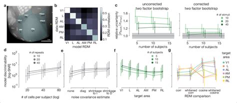 Results In Mice With Calcium Imaging Data A Mouse Visual Cortex Download Scientific Diagram