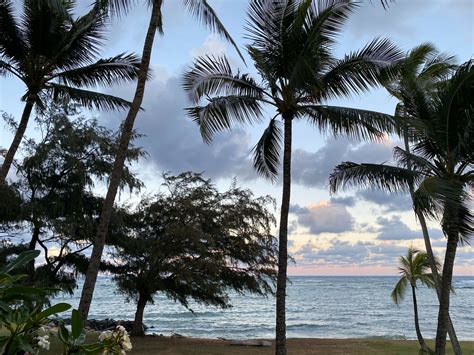 An Introduction To Continuum Movement Continuum Movement