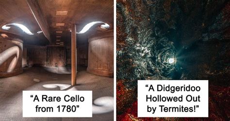 I Took Images Revealing The Hidden Beauty Lurking Inside Musical
