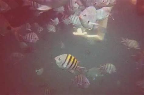 Java微服務框架一覽 每日頭條 Java微服務框架一覽 每日頭條